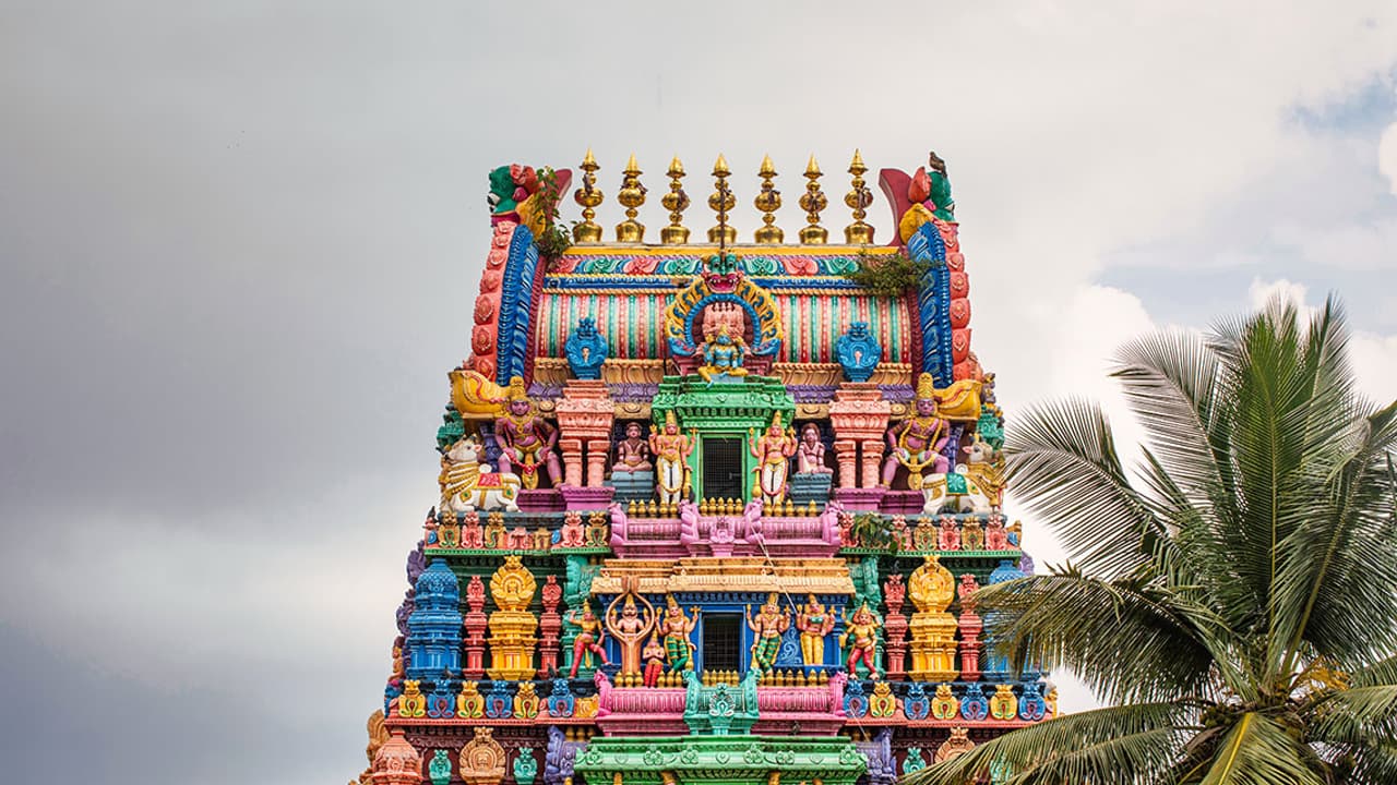 New Year 2026 begins on a spiritual note as devotees throng temples ...