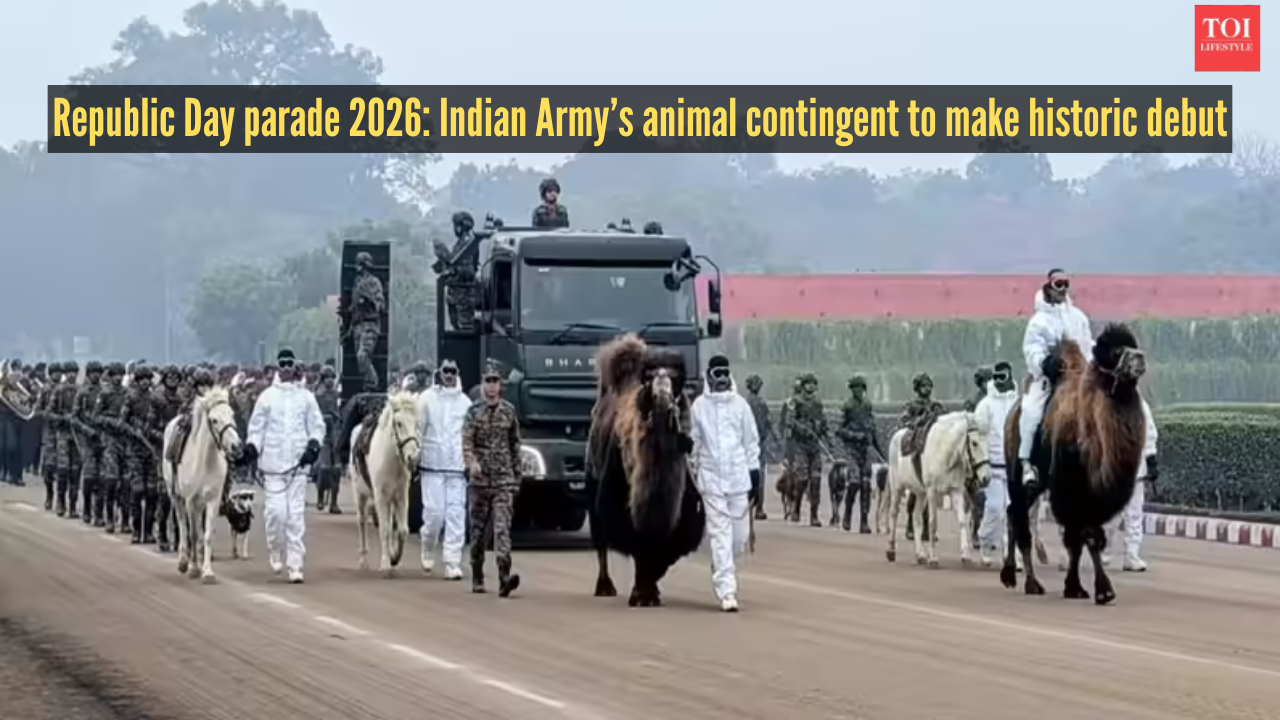 Republic Day parade 2026: In a first, Indian Army’s animal contingent ...