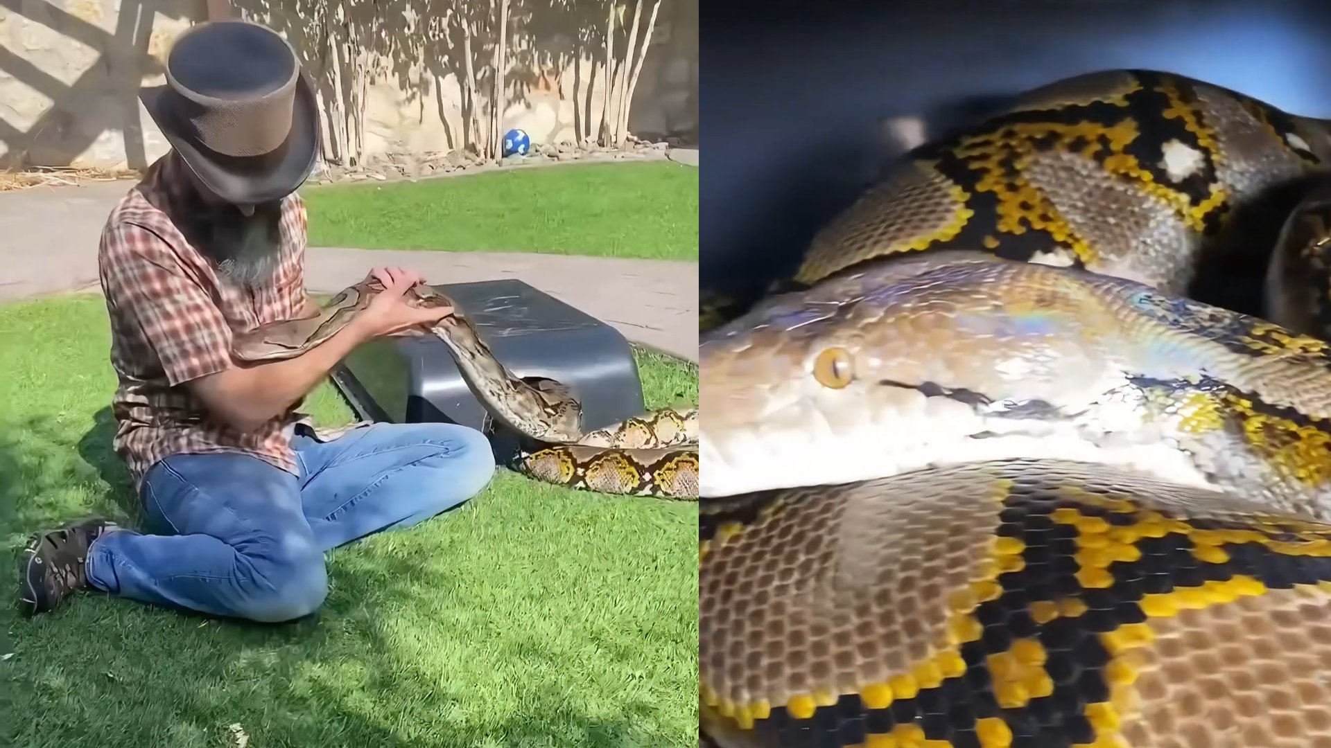 Building a gigantic enclosure!