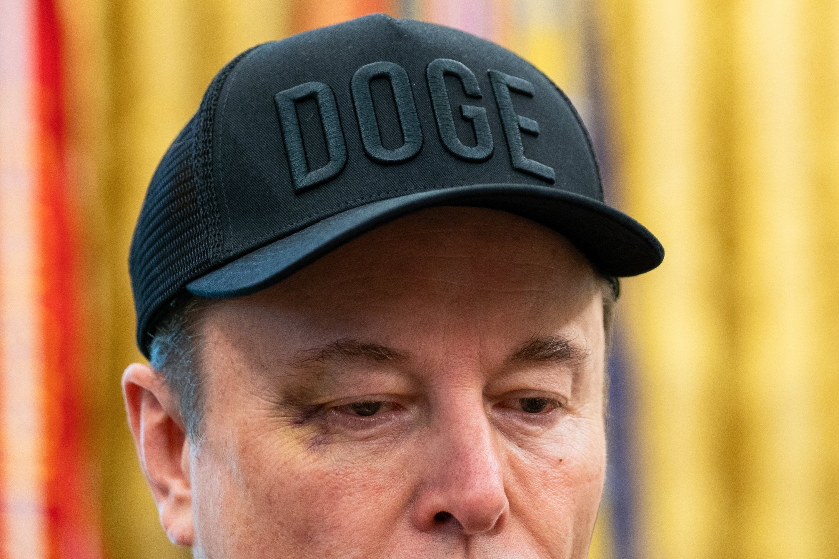 Can an old DOGE learn new tricks?