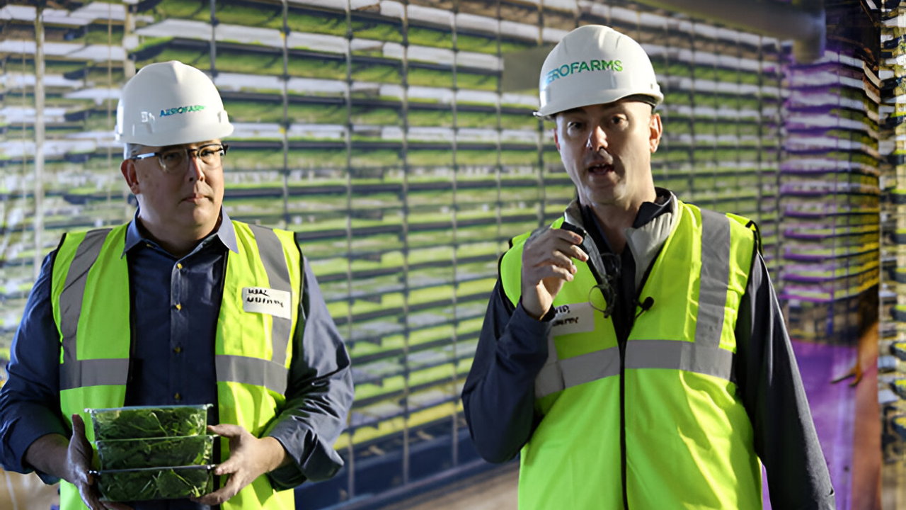 Virginia farming facility shuts days before Christmas as 173 workers ...