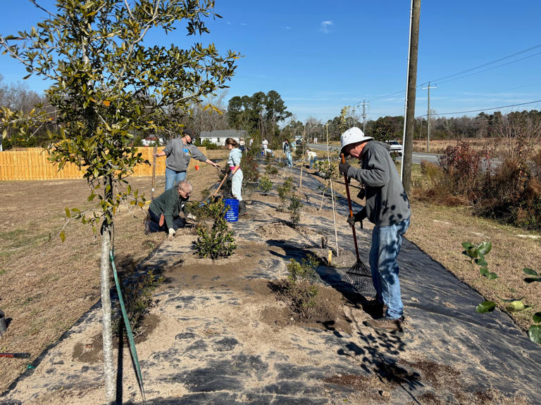 How New Hanover County extension volunteers cultivate knowledge, connection