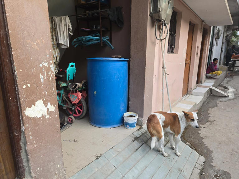 'Clean City' Indore horror: Preventable leak becomes mass casualty event