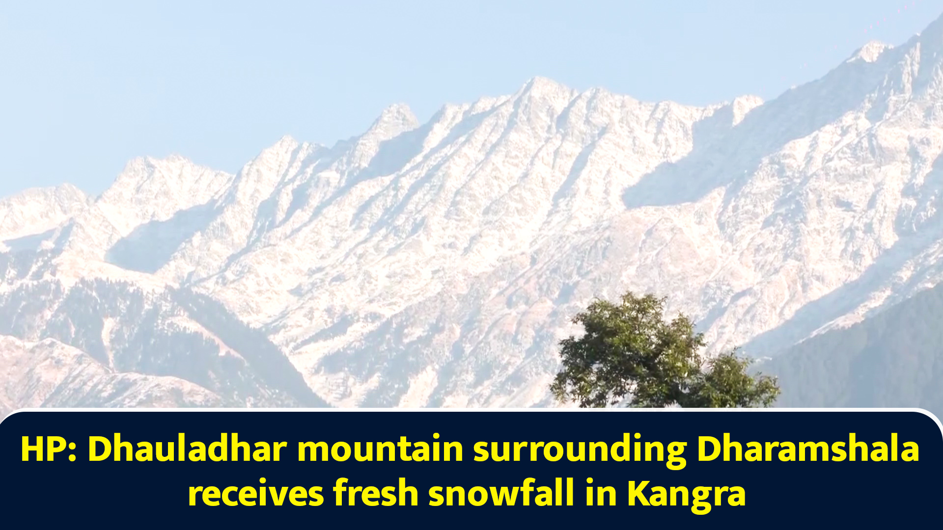 HP: Dhauladhar mountain surrounding Dharamshala receives fresh snowfall ...
