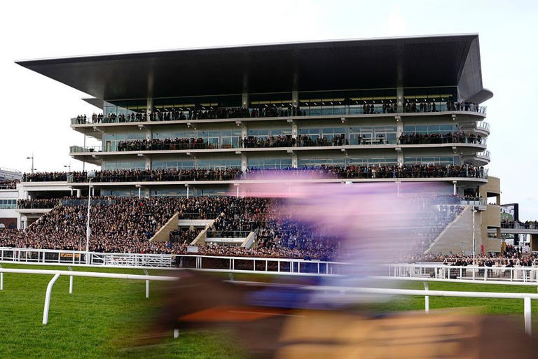 Record crowd for New Year's Day Cheltenham horse racing amid football ...