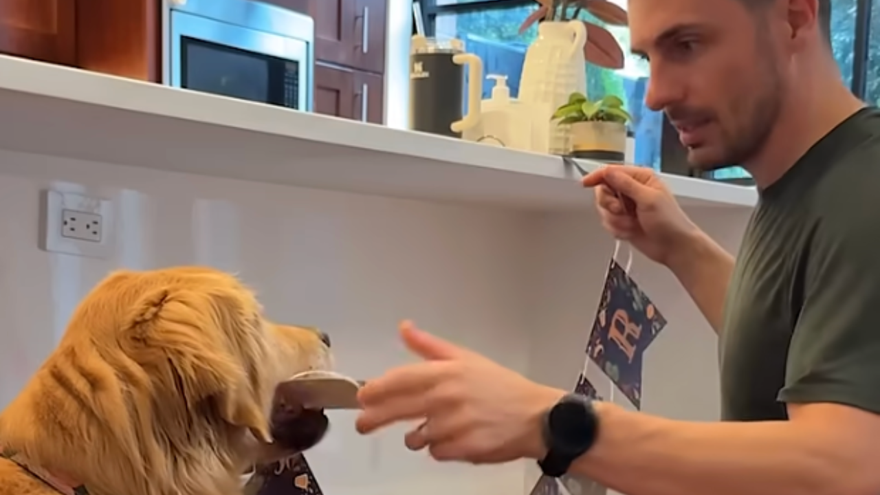 My wife’s birthday surprise didn’t go as planned