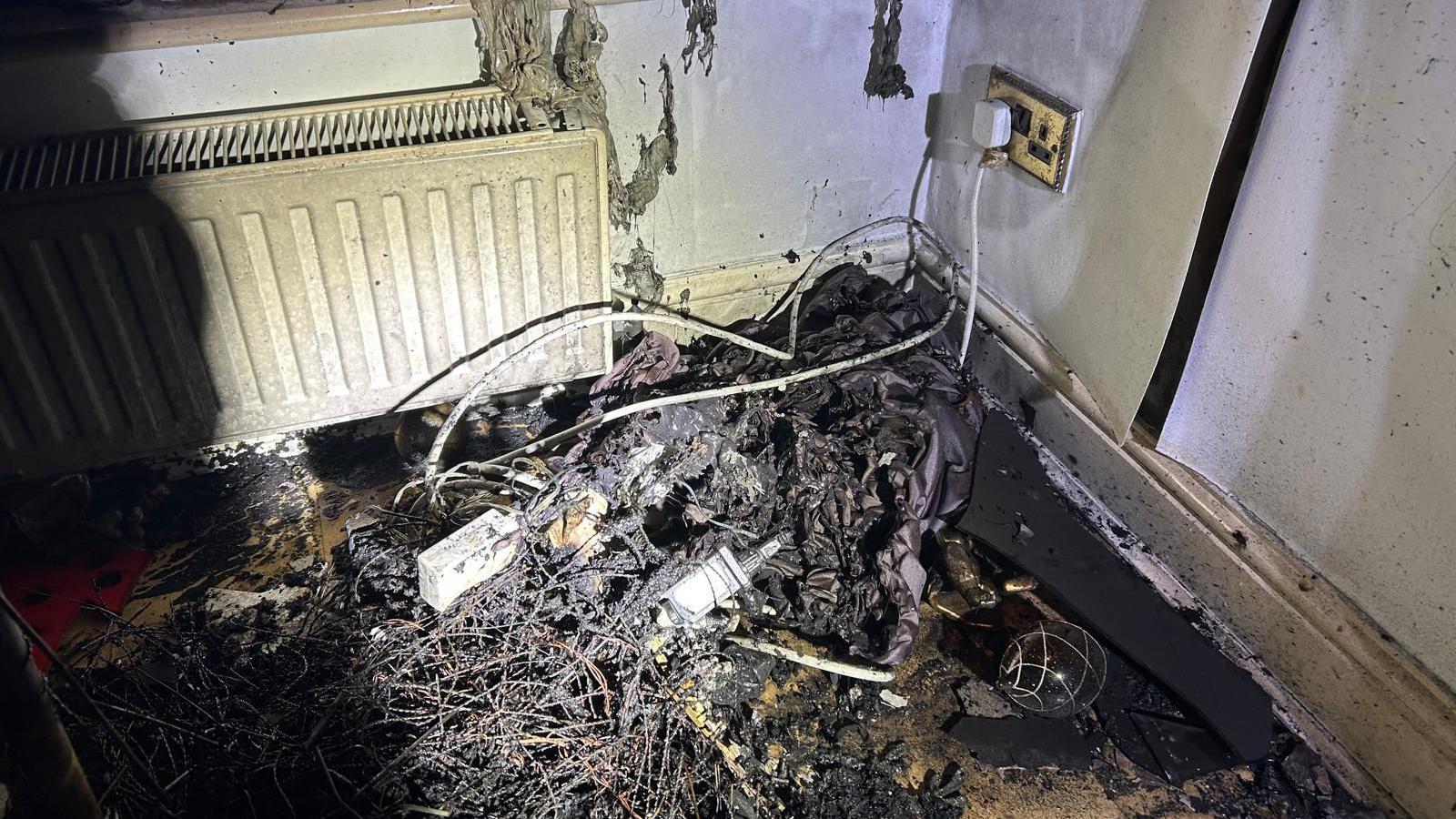 Five dogs rescued from overloaded plug socket fire