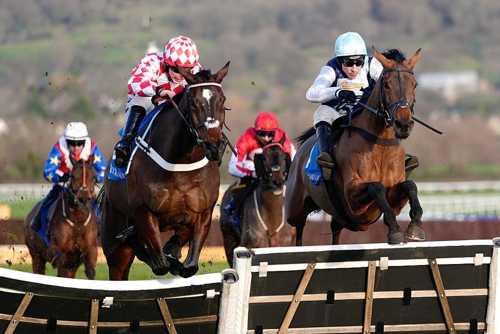 Record crowd for New Year's Day Cheltenham horse racing amid football ...