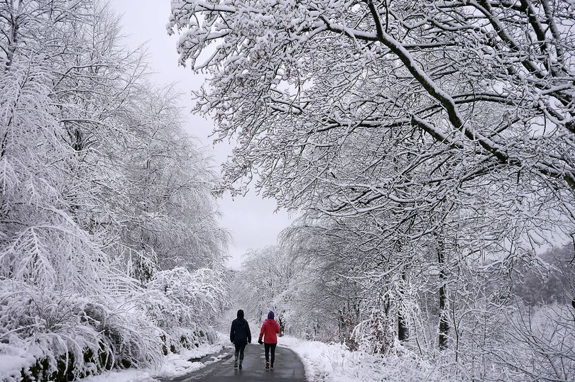 The stunning forest near Greater Manchester perfect for a winter walk