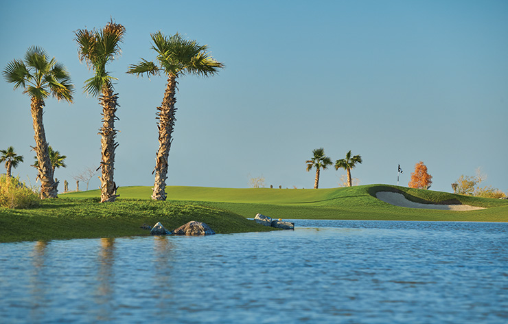 Quickshot: Desert design meets water drama in Abu Dhabi