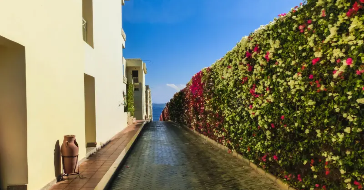 Following the yellow brick road to Earth’s hidden depths