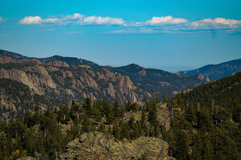 Woman dead in suspected mountain lion attack after going on solo New ...