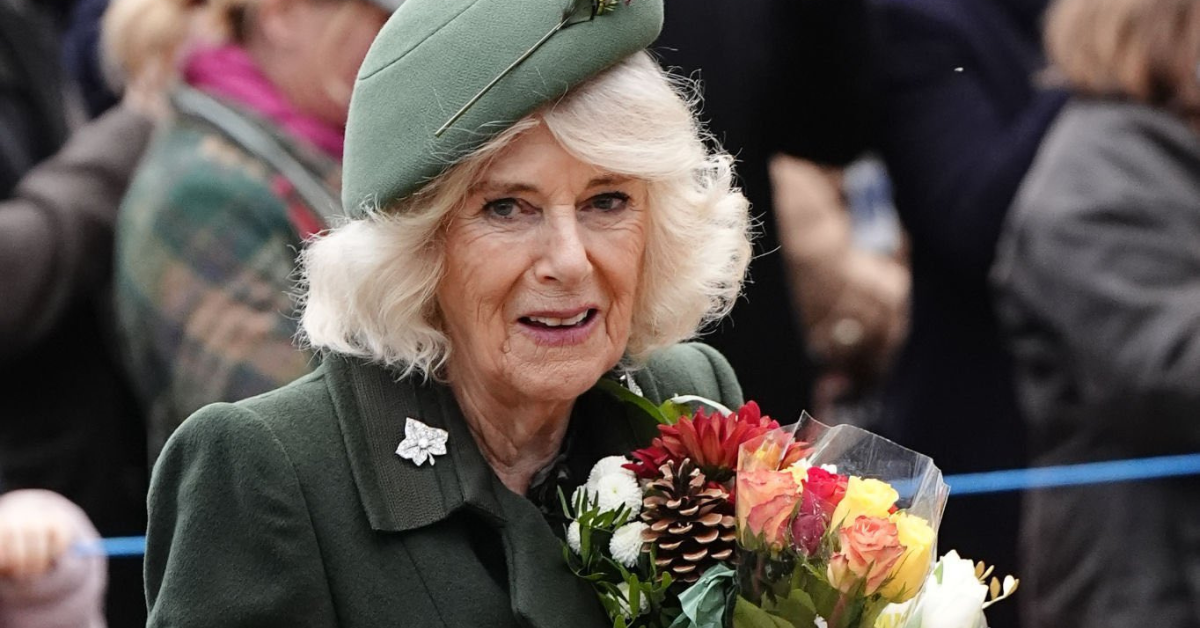 Queen Camilla’s teenage assault story raises eyebrows after Epstein ...