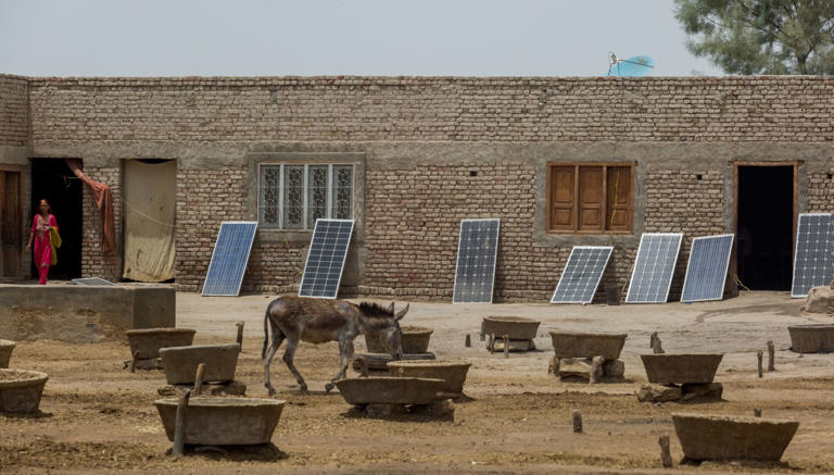 The 14 global trends that will shape the climate in 2026