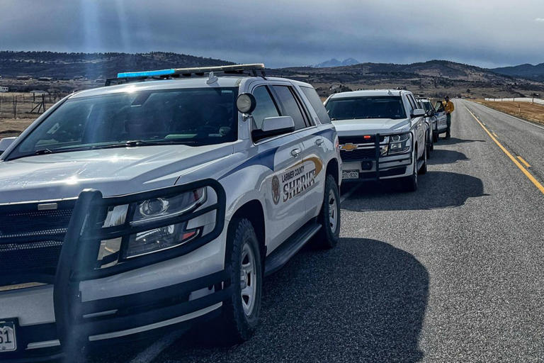 Woman dead in suspected mountain lion attack after going on solo New ...