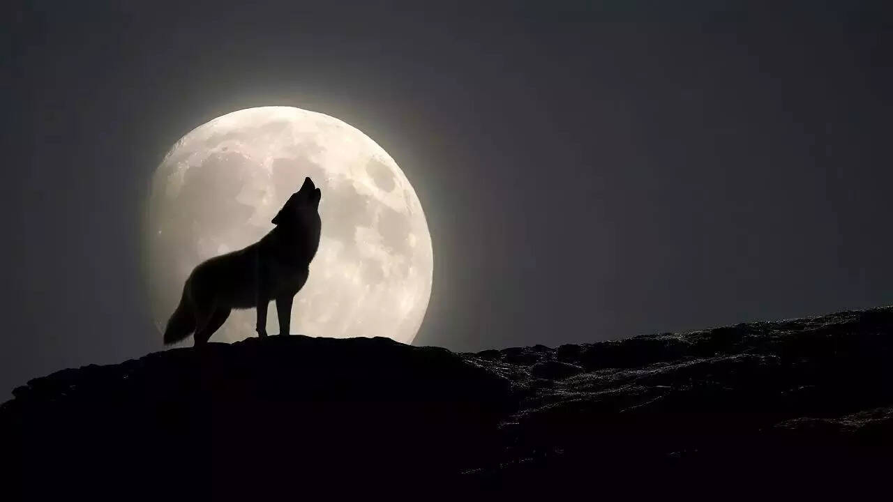 First supermoon of 2026: These zodiac signs will face a major life ...