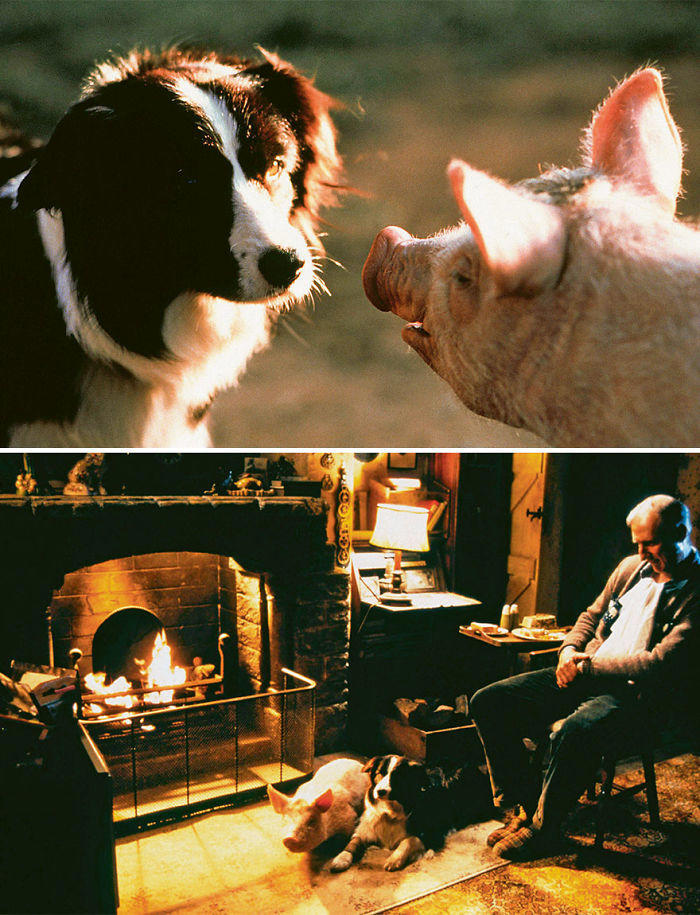 Adorable dog pics and behind the scenes of 10 of the best dog movies of ...