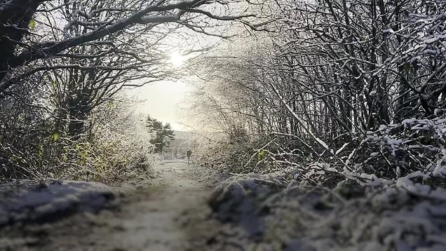 Snow and ice expected to bring travel disruption ahead of amber weather ...