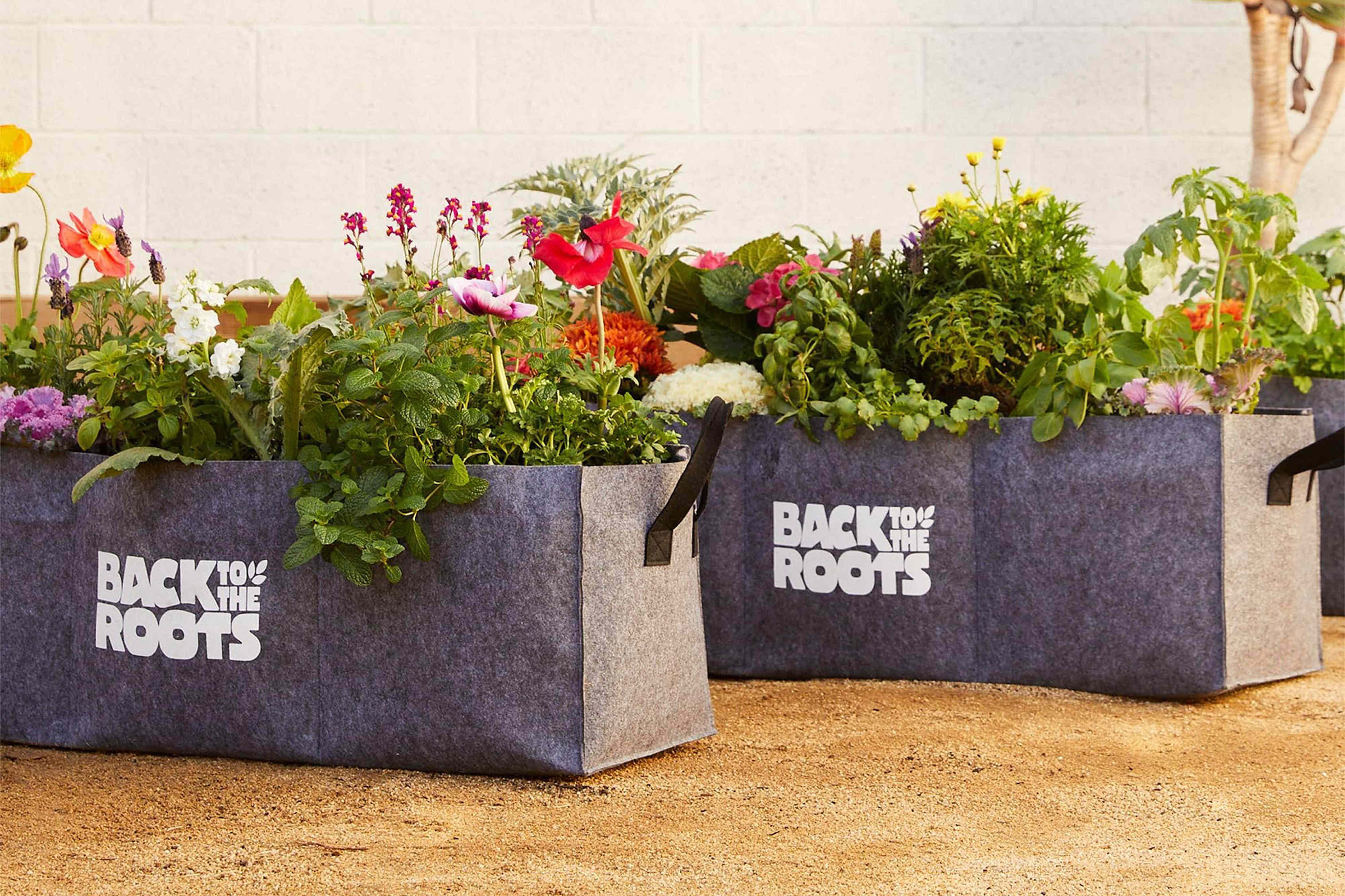 Amazon's overstock outlet reduced prices on patio, lawn, and garden ...