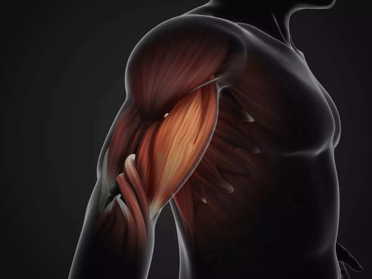 6 foods that support tendon health into your late 30s