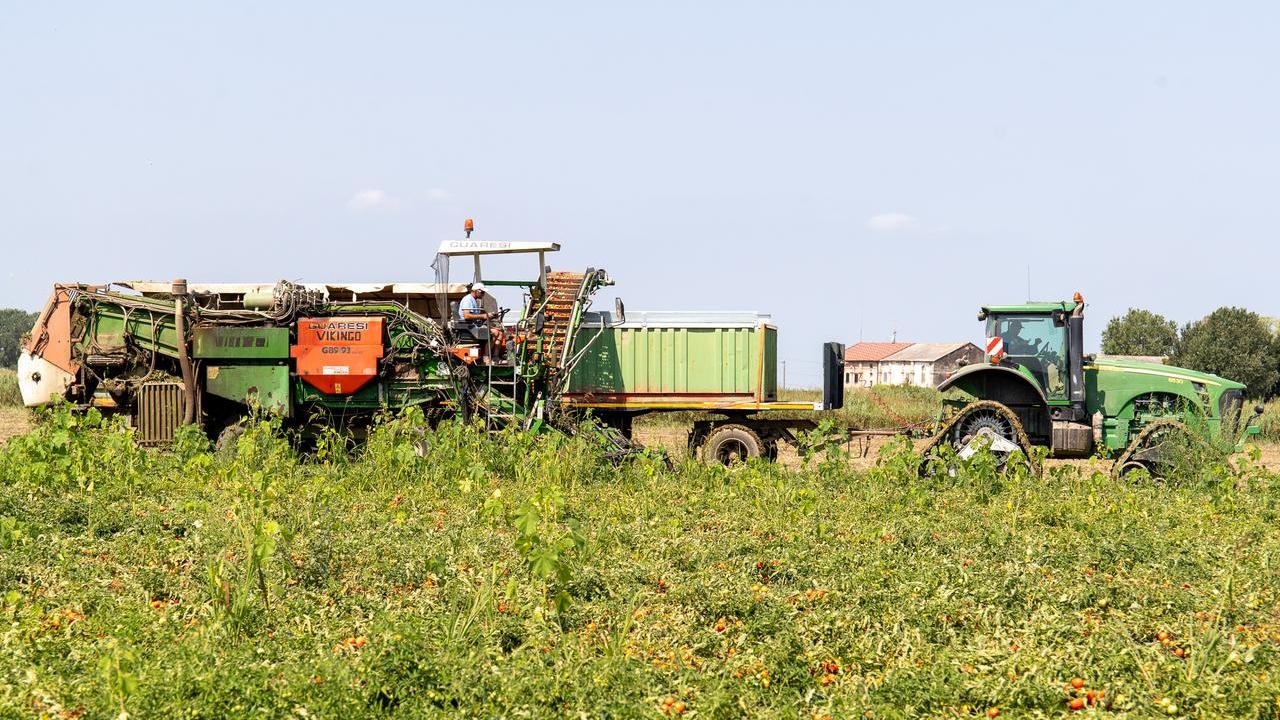 Agricoltura, cosa cambia con la legge di bilancio 2026