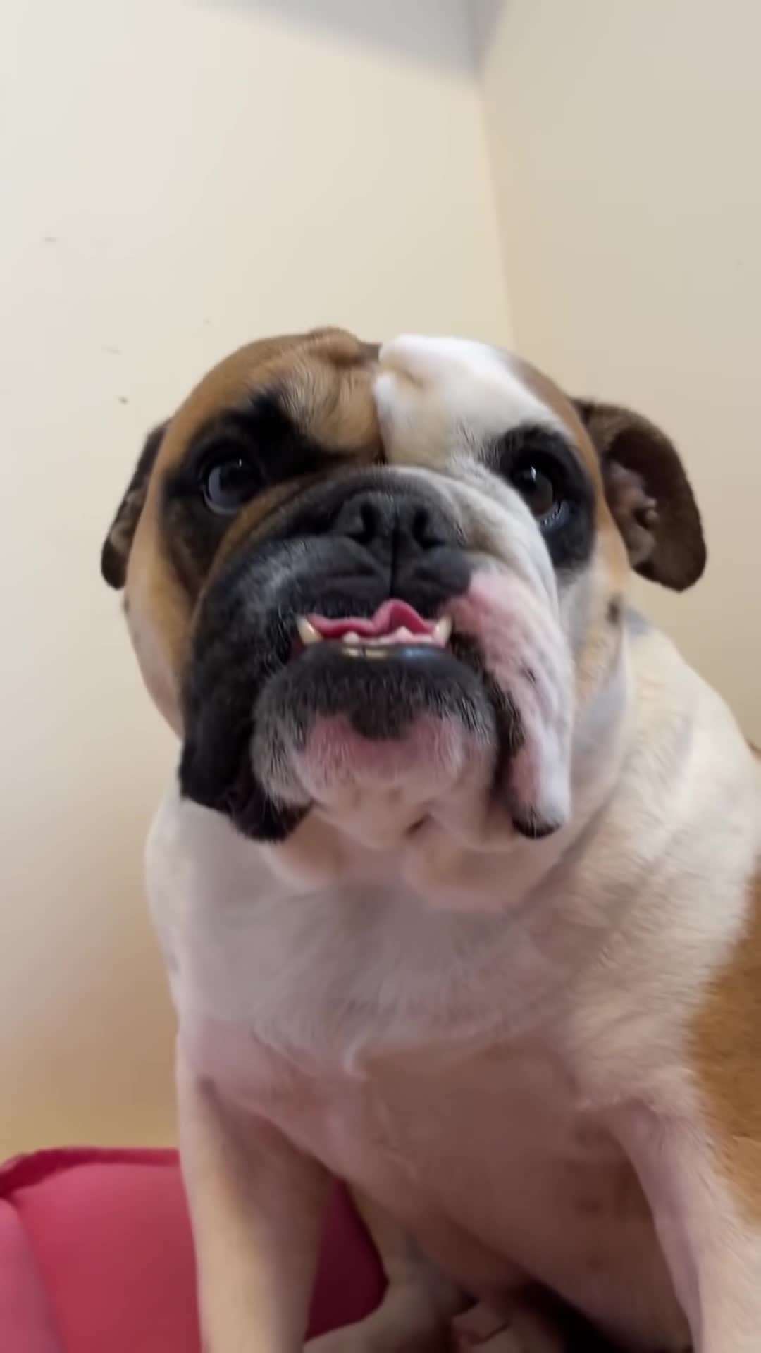 DE FRENTE COM MARIA BICA - Entrevista Madalena