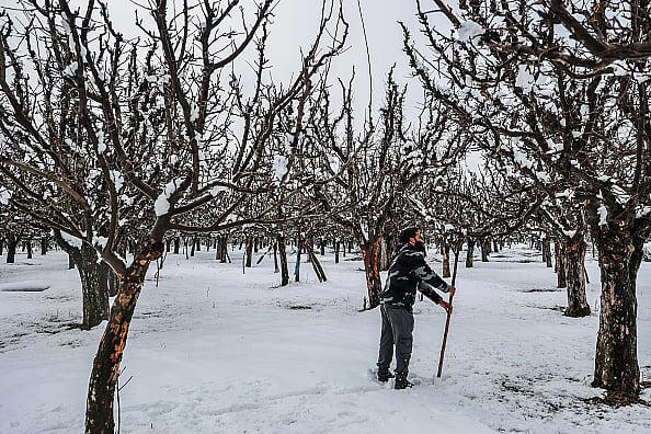 Drop in temperature, clear skies, dry weather likely in Kashmir till ...