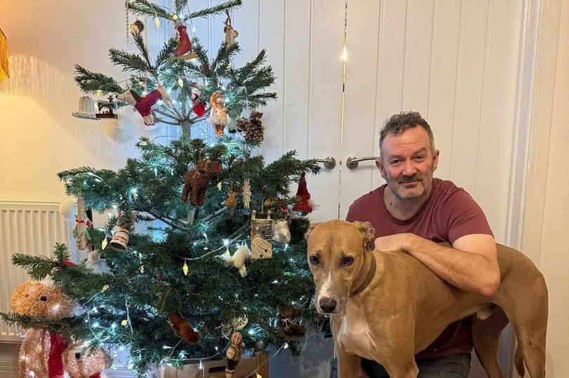 Britain's 'loneliest dog' Alvin who is a couch potato finds home after ...