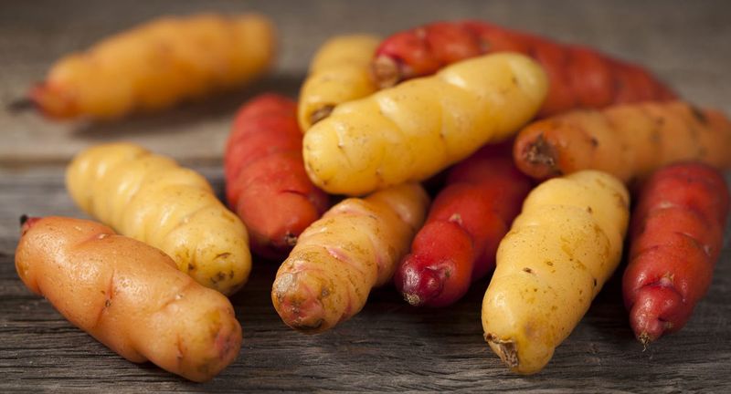 Some of the Rarest Vegetables Found Around the World