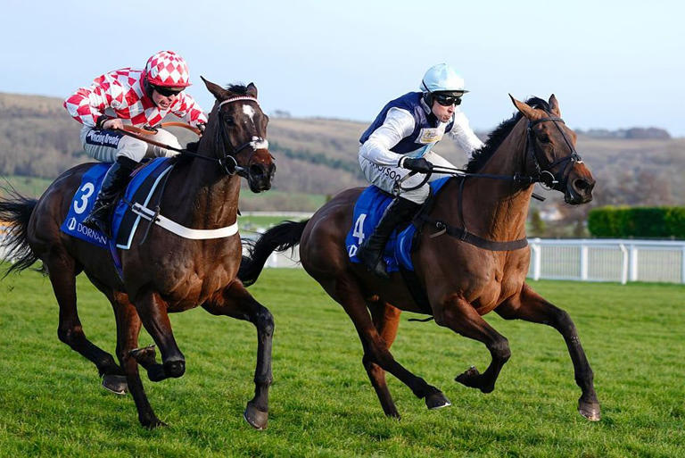 Record crowd for New Year's Day Cheltenham horse racing amid football ...
