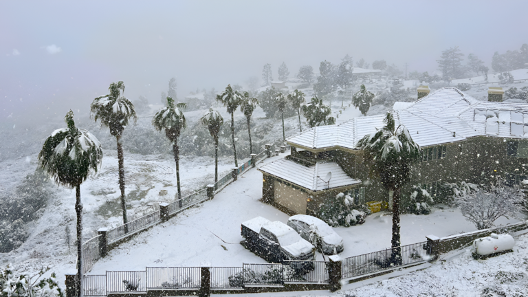 Florida under statewide freeze warning as NWS raises wind threat