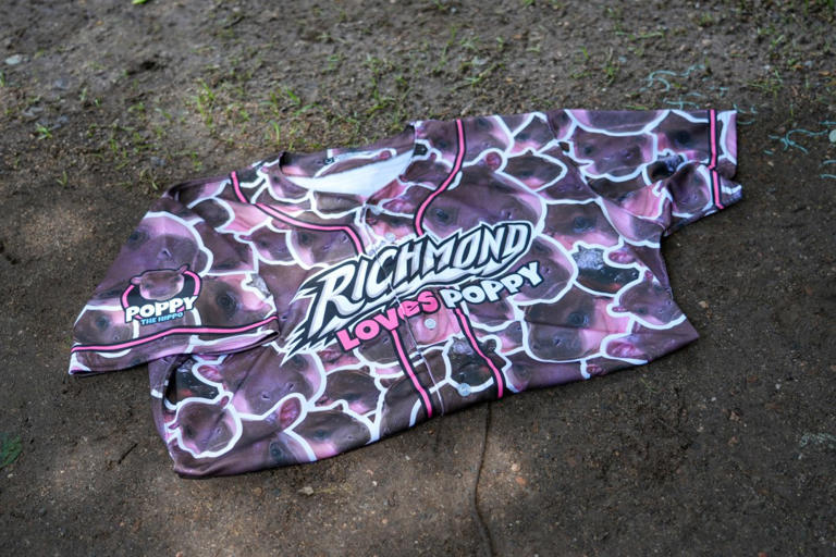 List: Richmond’s best animal moments of 2025