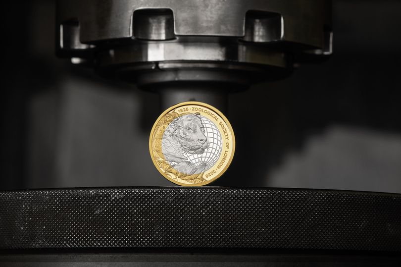 Royal Mint shares 2026 coins worth £14,500 - full breakdown of new designs