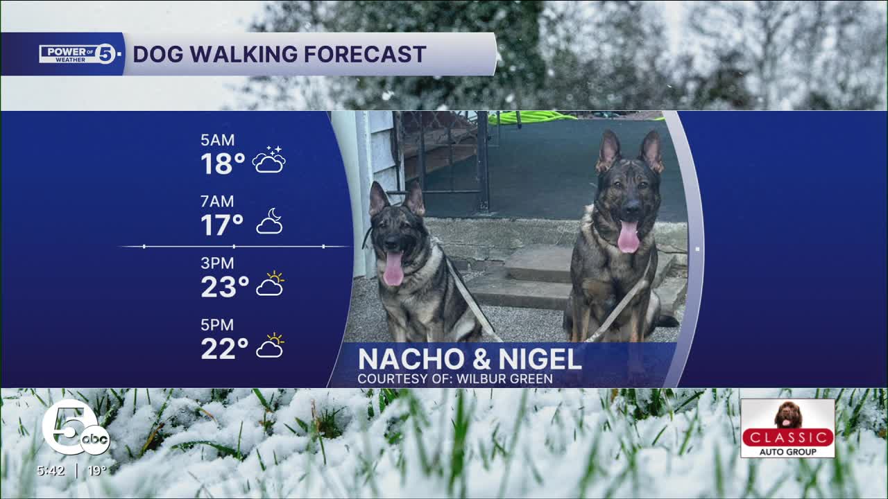 Meet Nacho & Nigel!