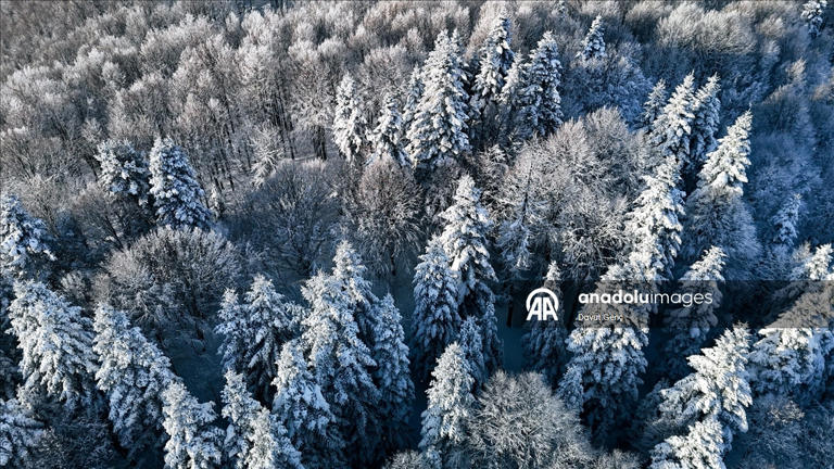 Beyaz örtüyle kaplanan Çam Dağı havadan görüntülendi