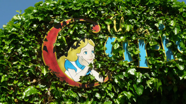 She experienced a rare neurological condition called Alice in ...