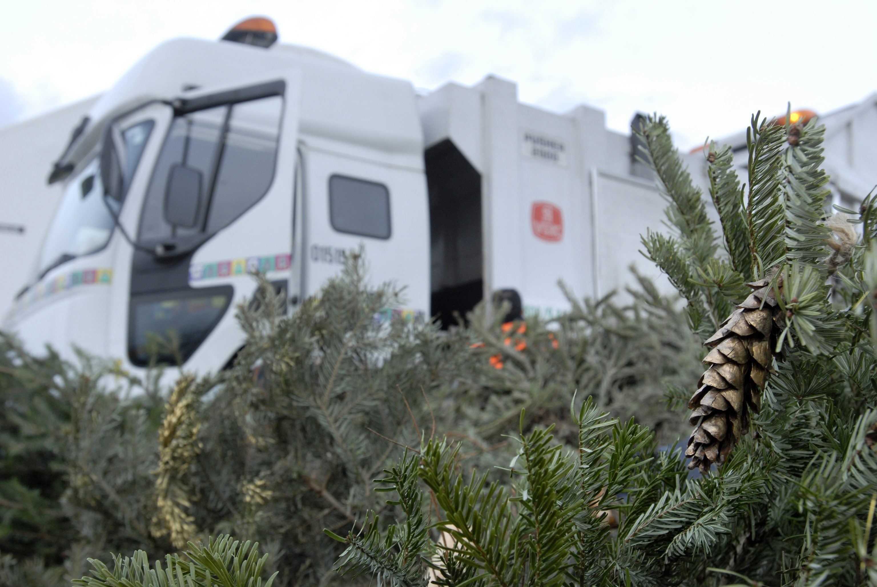 Bruxelles-Propreté collectera les sapins de Noël dès lundi
