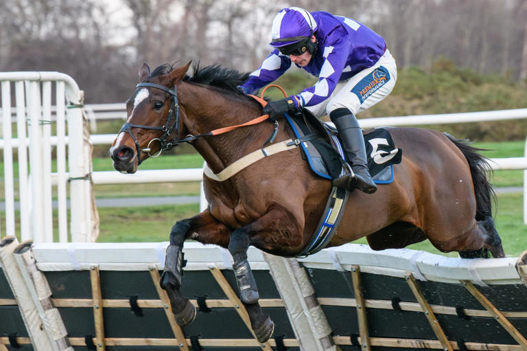 Borders racehorse trainers Sandy Thomson and Ewan Whillans get 2026 off ...