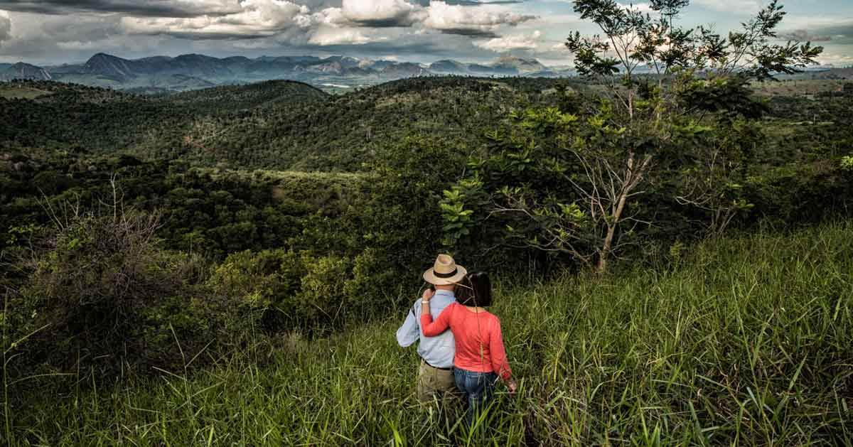 Over the course of 20 years, this couple planted 2.5 million trees ...