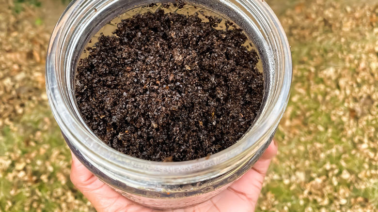 Why you should be keeping coffee grounds outside doors and windows