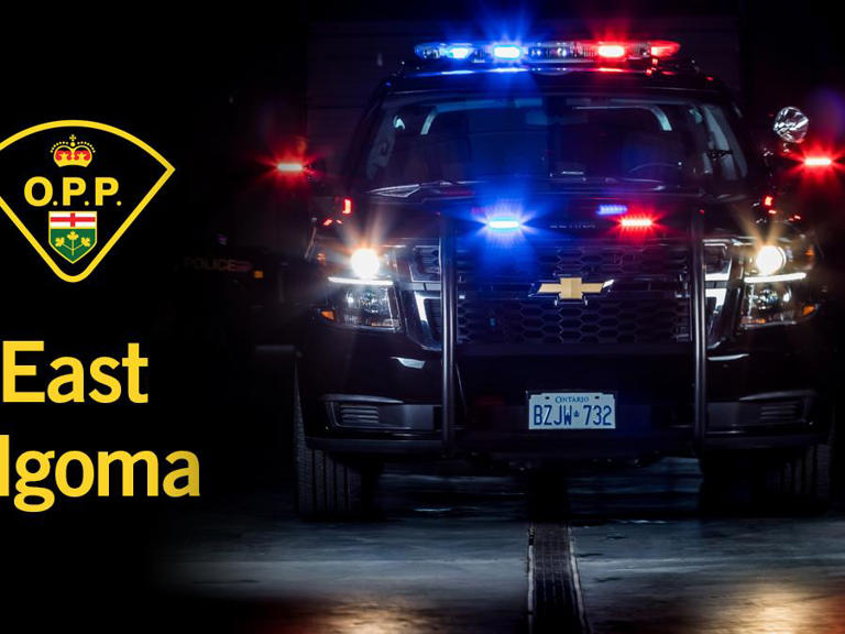 Une personne arrêtée pour cambriolage la veille de Noël