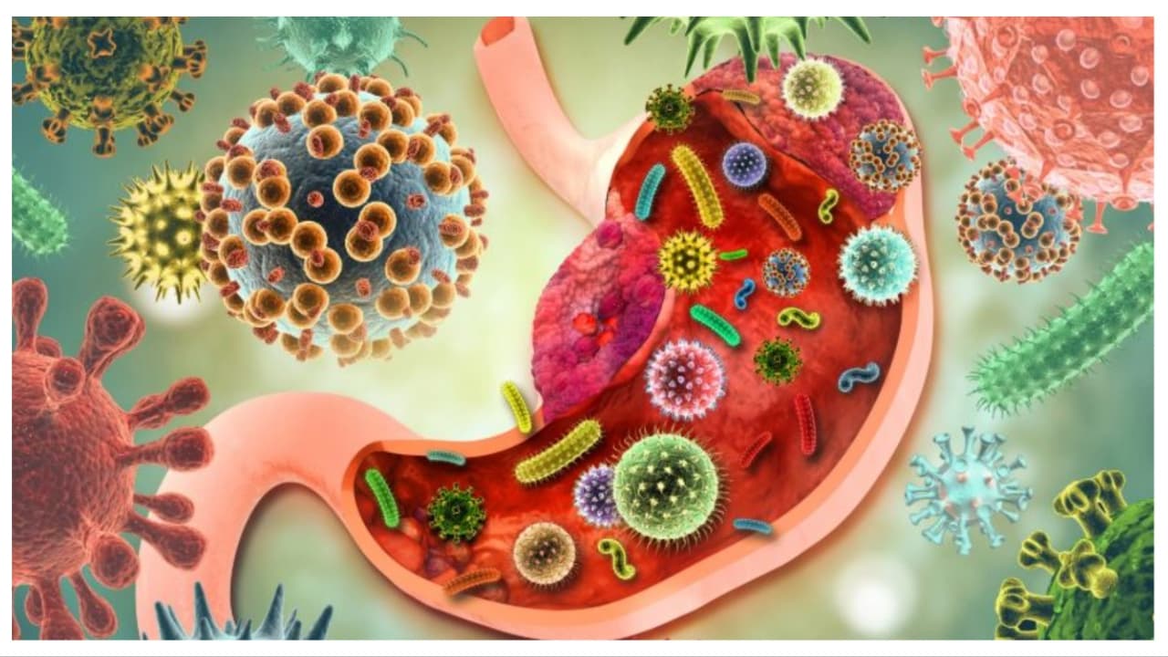 World Health Day 2026: From screens to skipped meals-what’s hurting ...