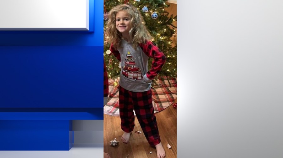 Search for Johnathan Boley resumes in Walker County