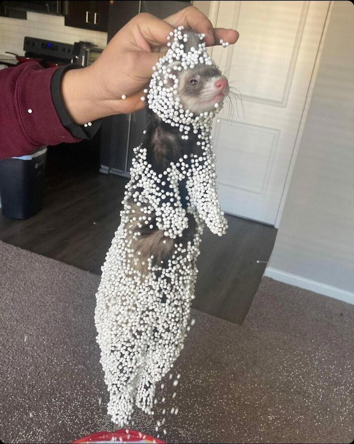 41 times people saw something that made them go 'hmmm' and just had to ...