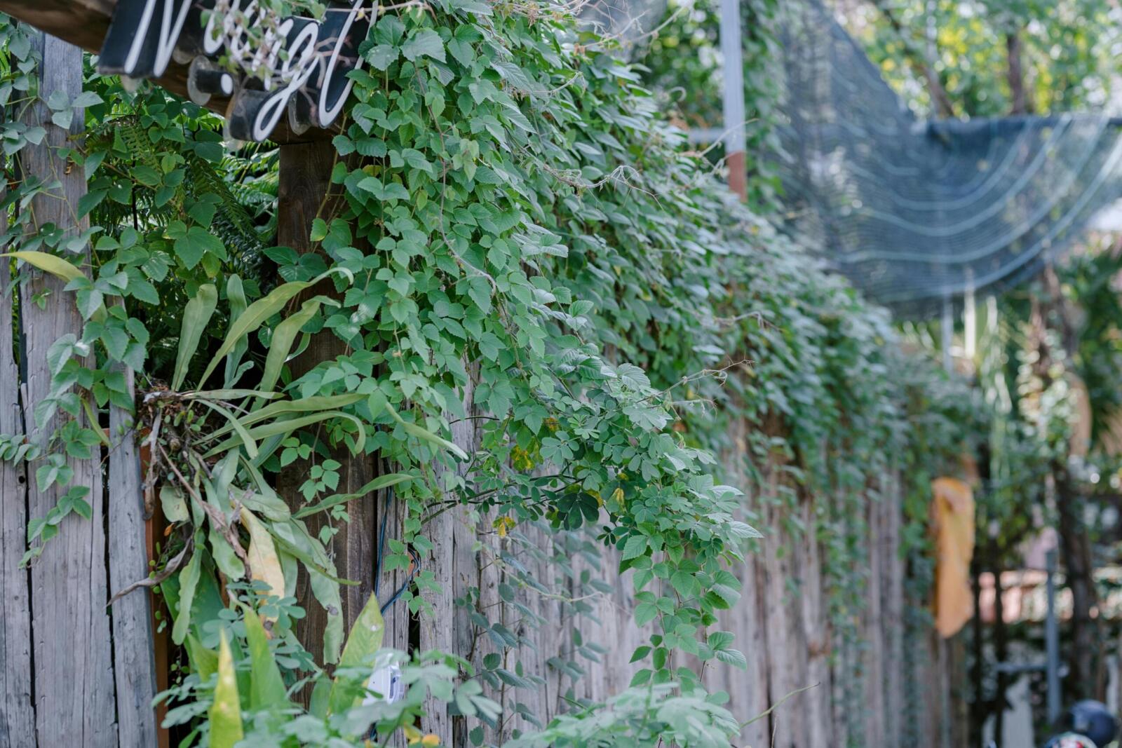 7 everyday backyard features that could secretly cost you thousands in ...