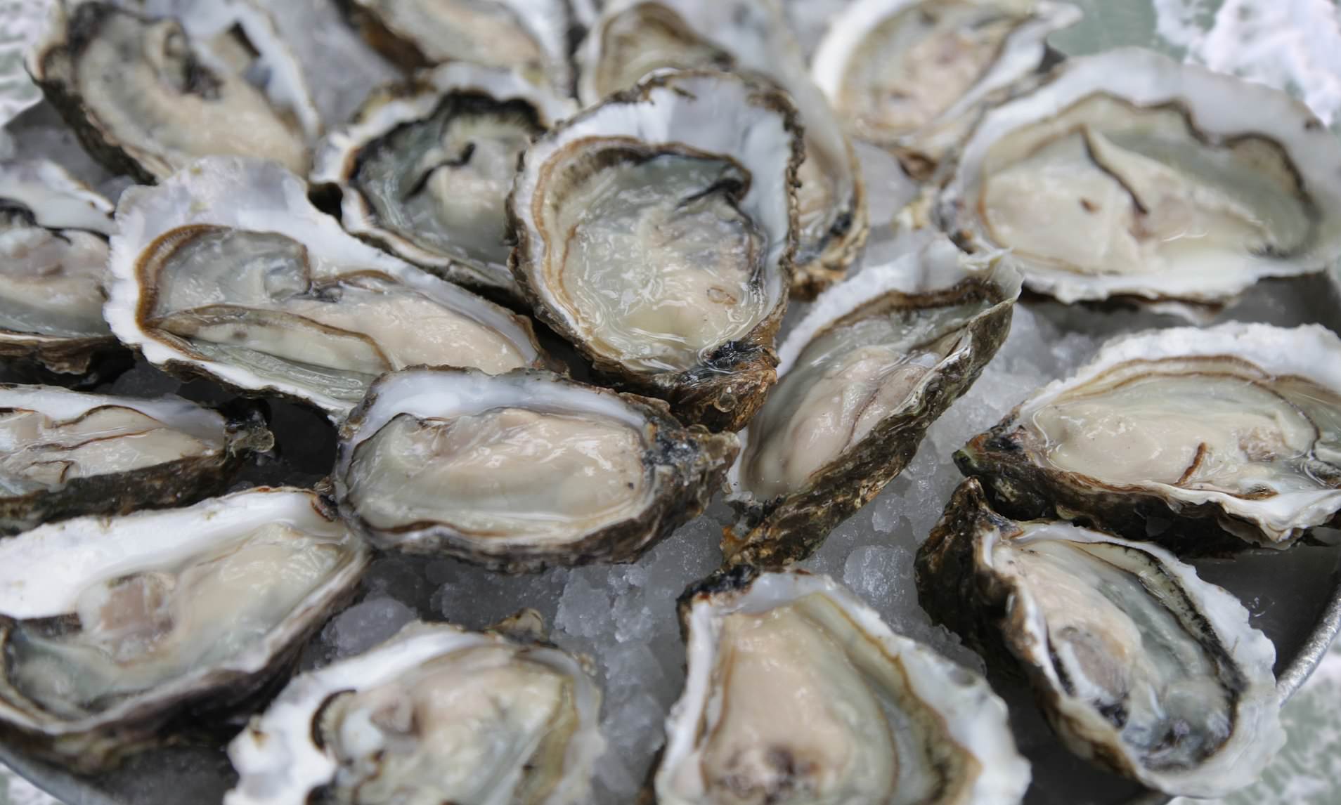Shellfish tied to nationwide bacterial outbreak that has sickened ...