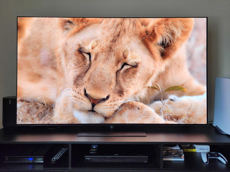 The 4 best TVs of 2026, tested by experts