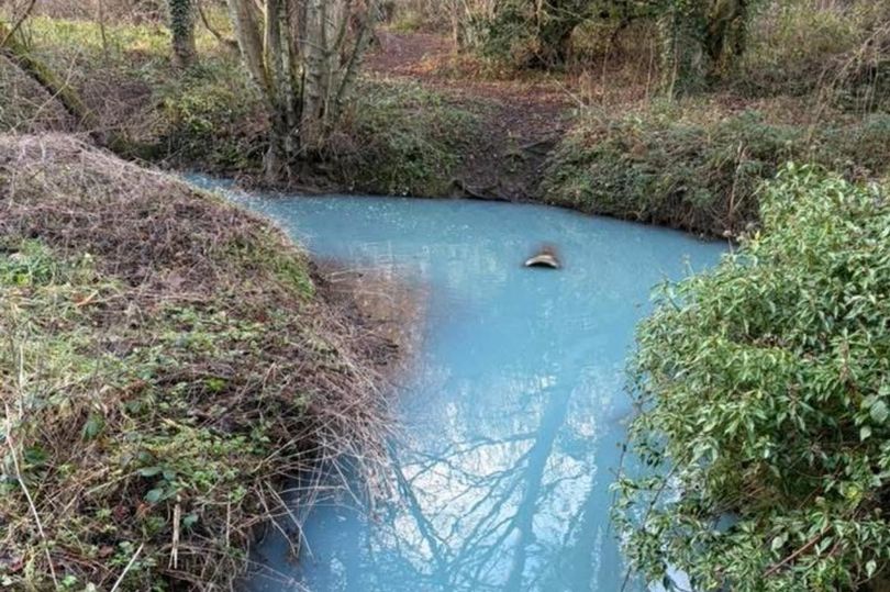 Stream turned 'unusual blue' as environment chiefs launch probe