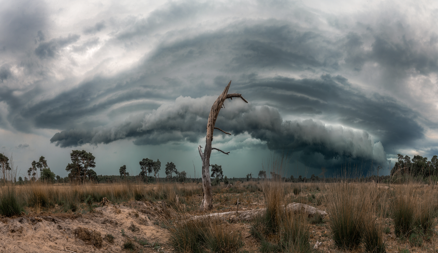 Dreigende onweerswolk boven natuurgebied: dit is de beste weerfoto 2025