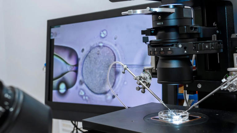 When hope meets red tape: IVF's growing challenges in India